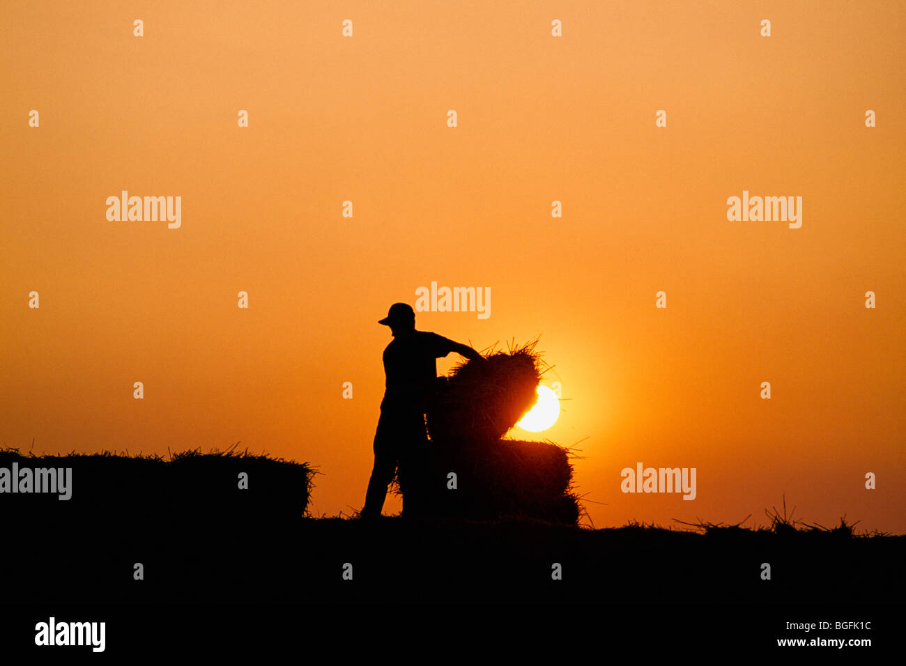 Ireland, Farmer loading straw Stock Photo - Alamy