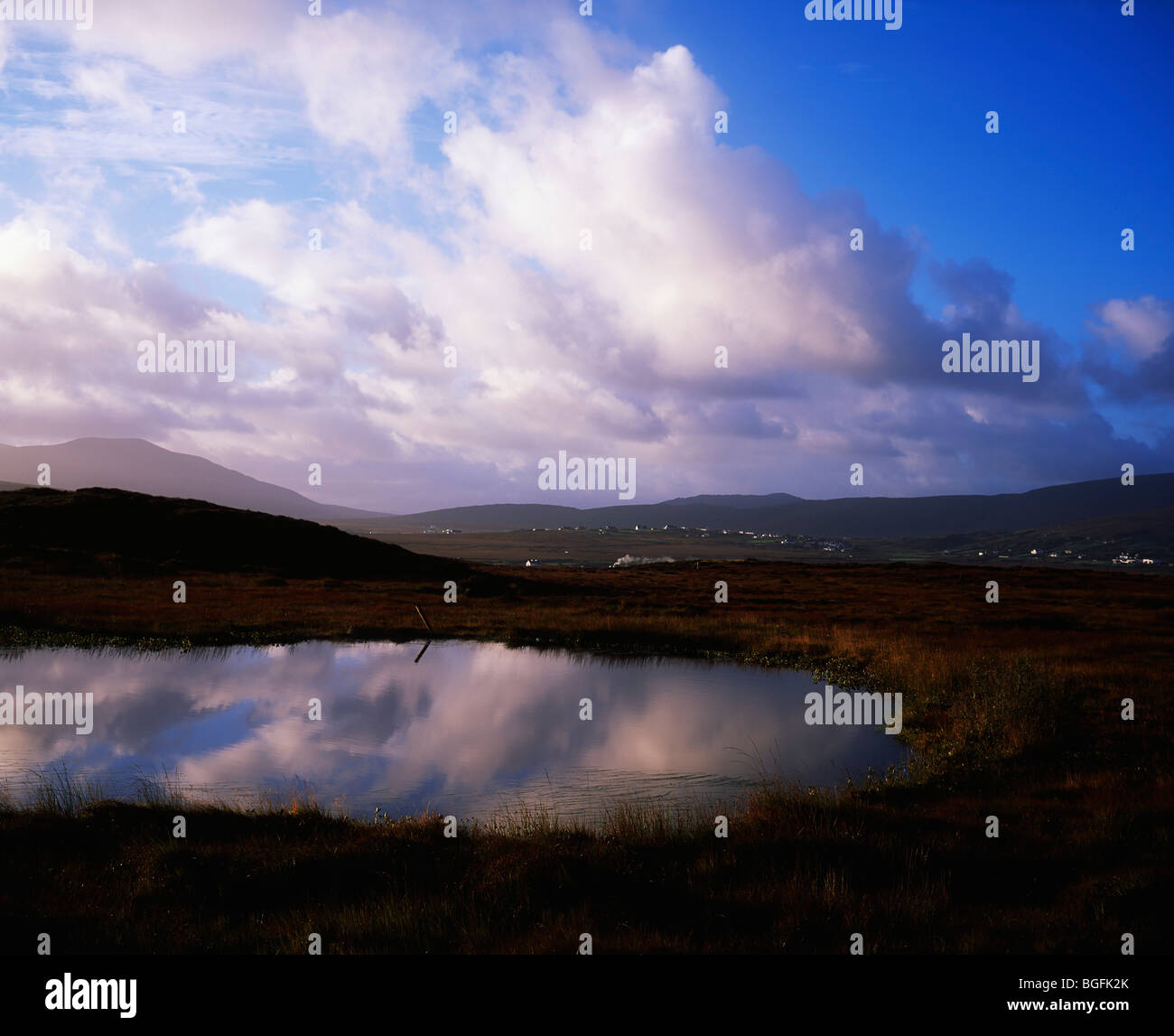 Bog bodies ireland hi-res stock photography and images - Alamy