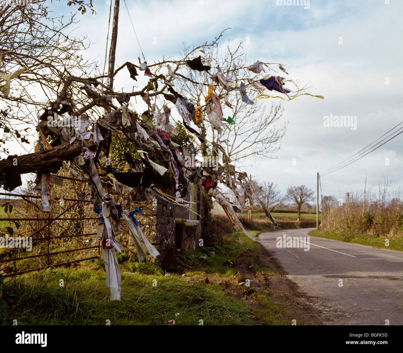 Prayer tree hi-res stock photography and images - Alamy