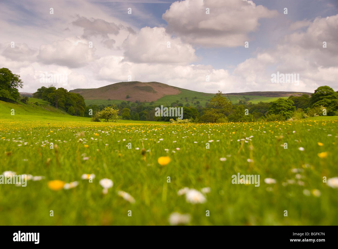 Nabb hi-res stock photography and images - Alamy