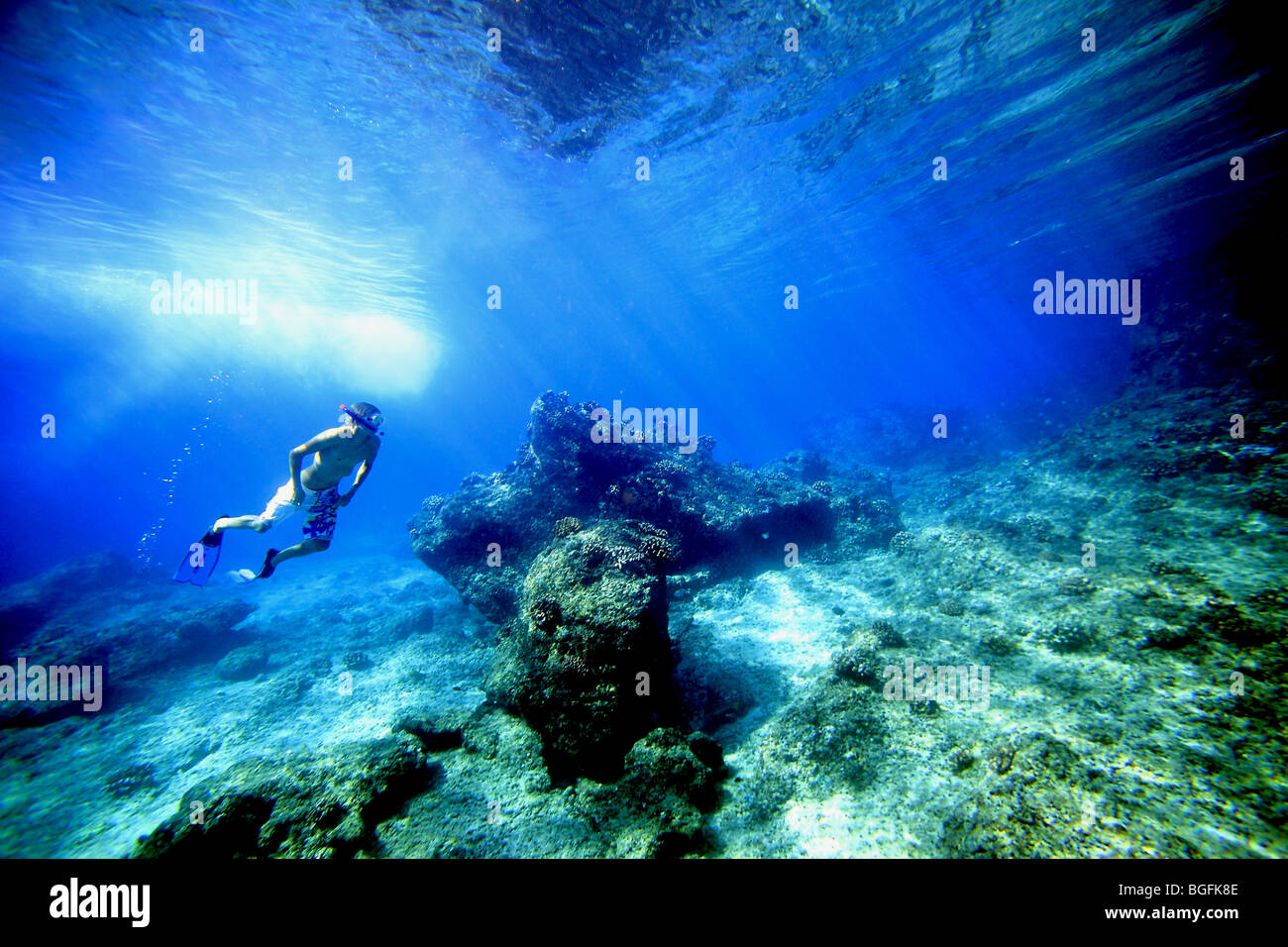 Snorkeling in the clear waters off Sipora Island. Mentawai Islands ...