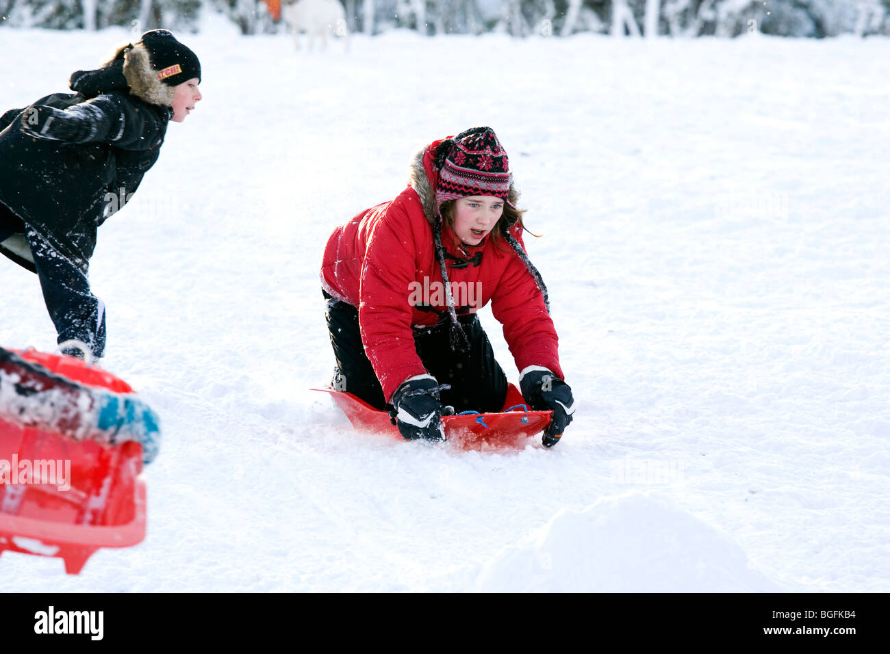 Boy and girl sledging hi-res stock photography and images - Alamy