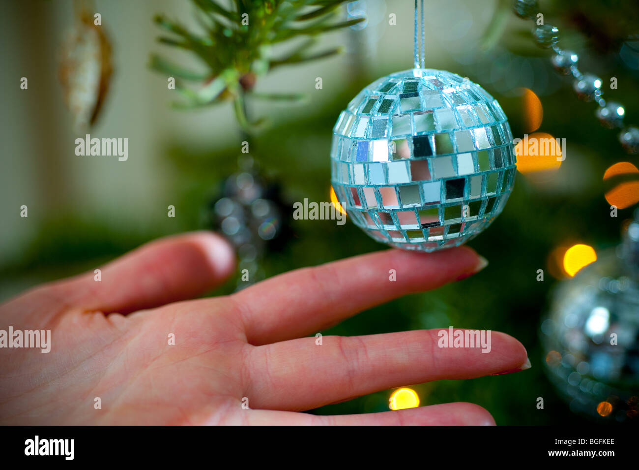 A mini mirror-ball is hand placed on a pine Christmas tree in a living ...