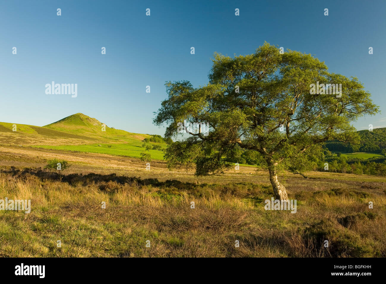Hawnby Hill, North Yorkshire Stock Photo - Alamy
