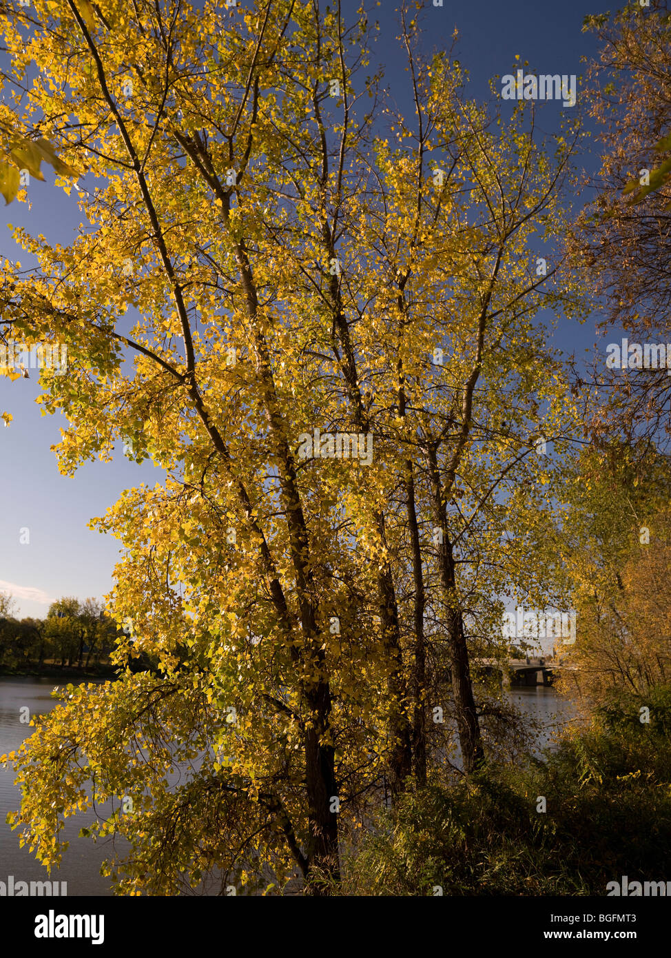 Rivers lakes manitoba hi-res stock photography and images - Alamy