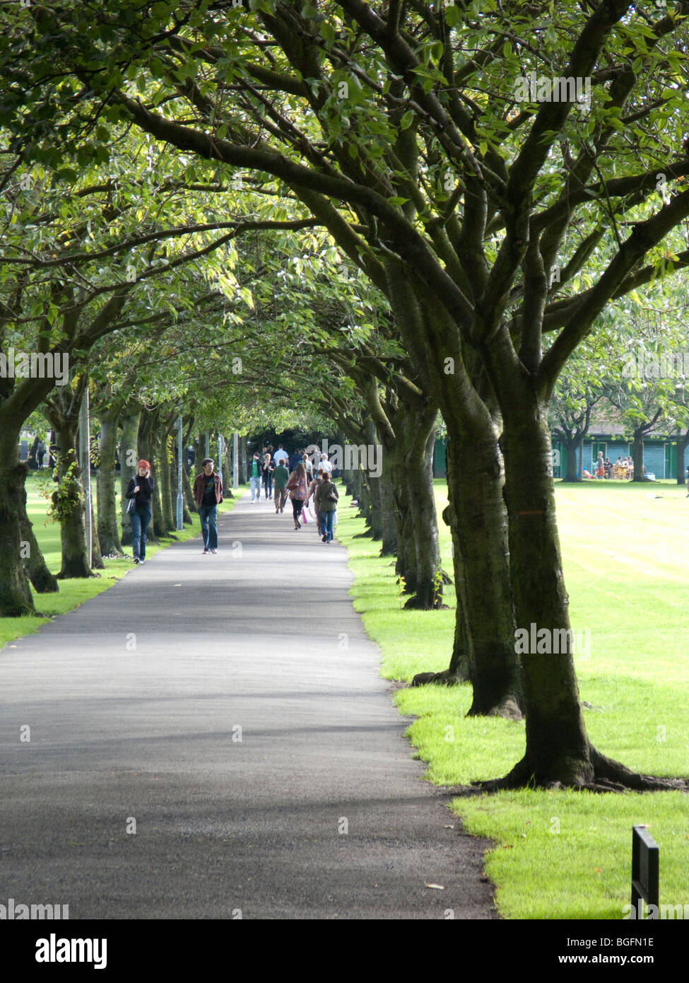 Tree lined path through city centre park during summertime Stock Photo ...
