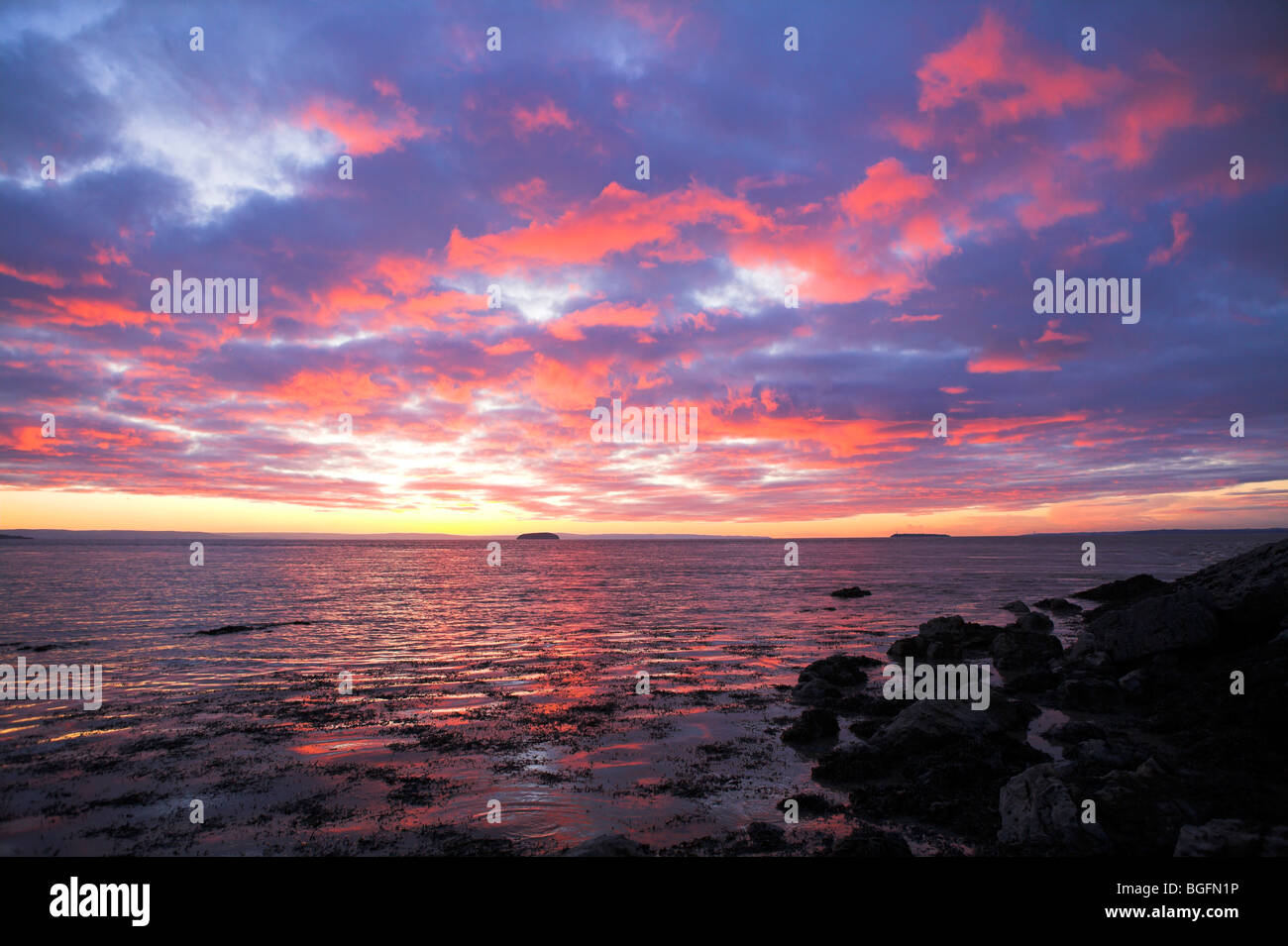 Flat holm steep holm islands hi-res stock photography and images - Alamy
