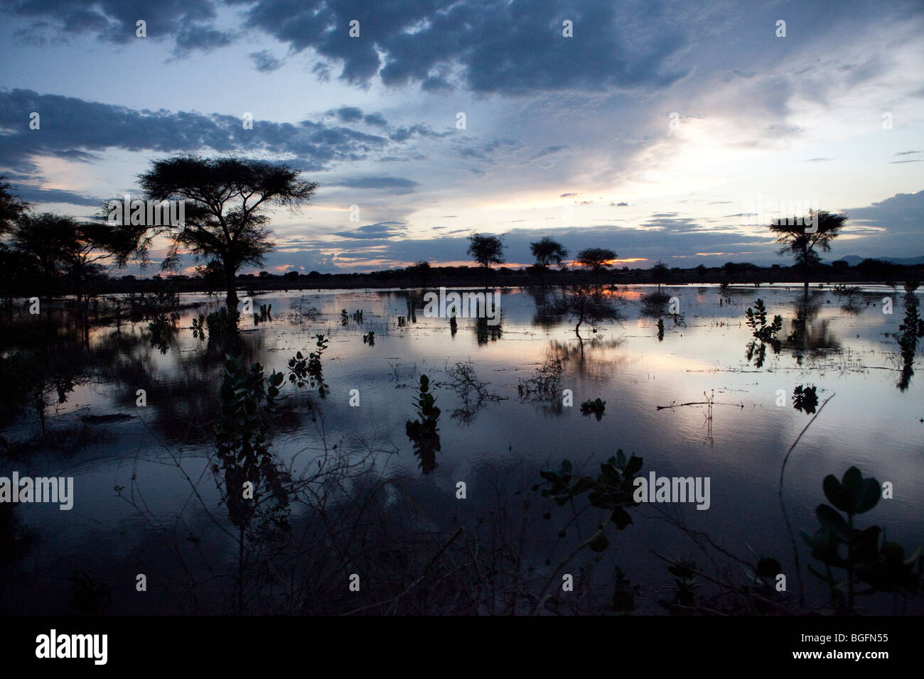 Sunset over flooded fields in Mererani, Arusha Region, Tanzania, East ...
