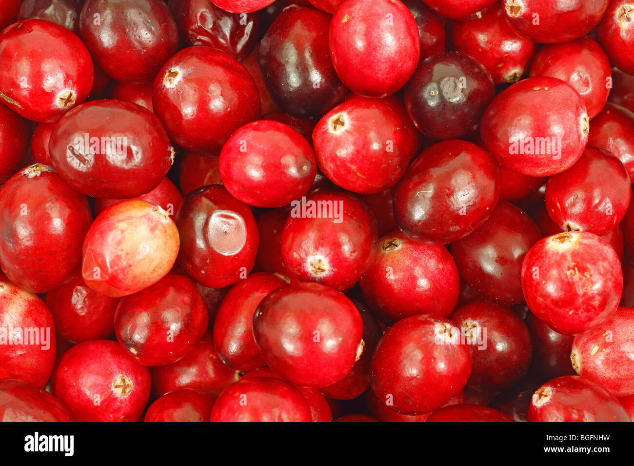 Deep cranberry color hi-res stock photography and images - Alamy