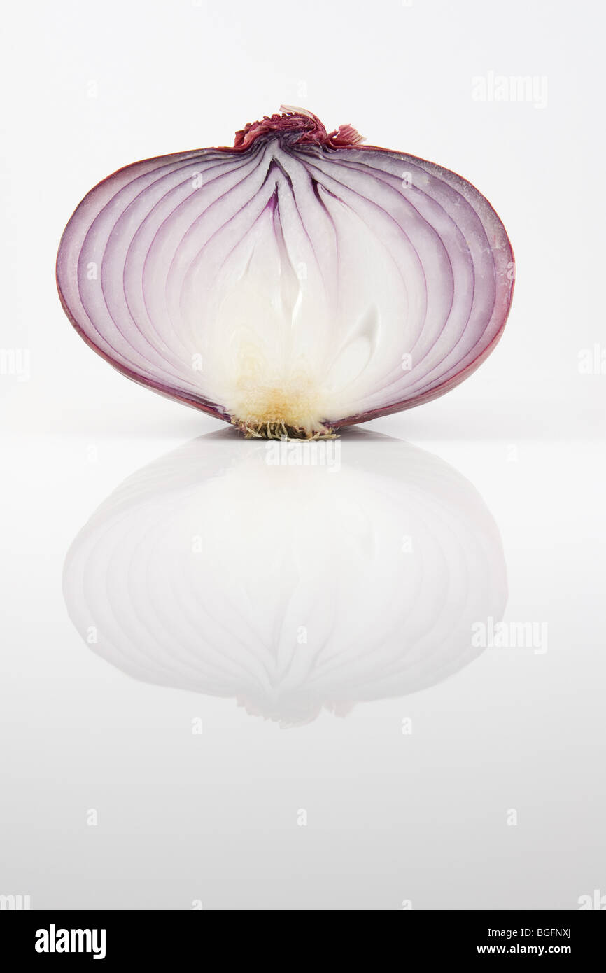 A cross section of a red onion reflected on a white surface Stock Photo ...