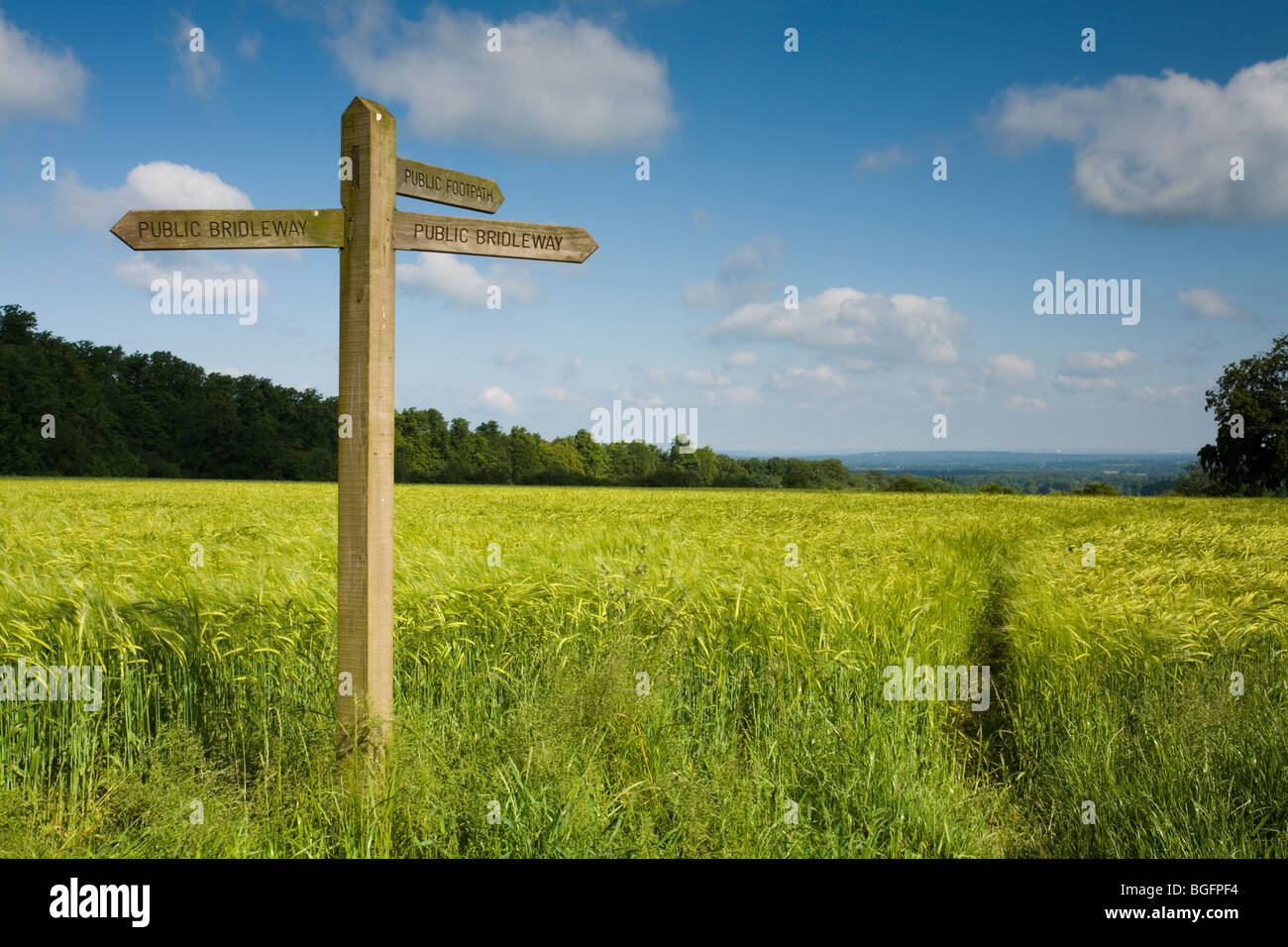 Barley Field and sign post Stock Photo - Alamy