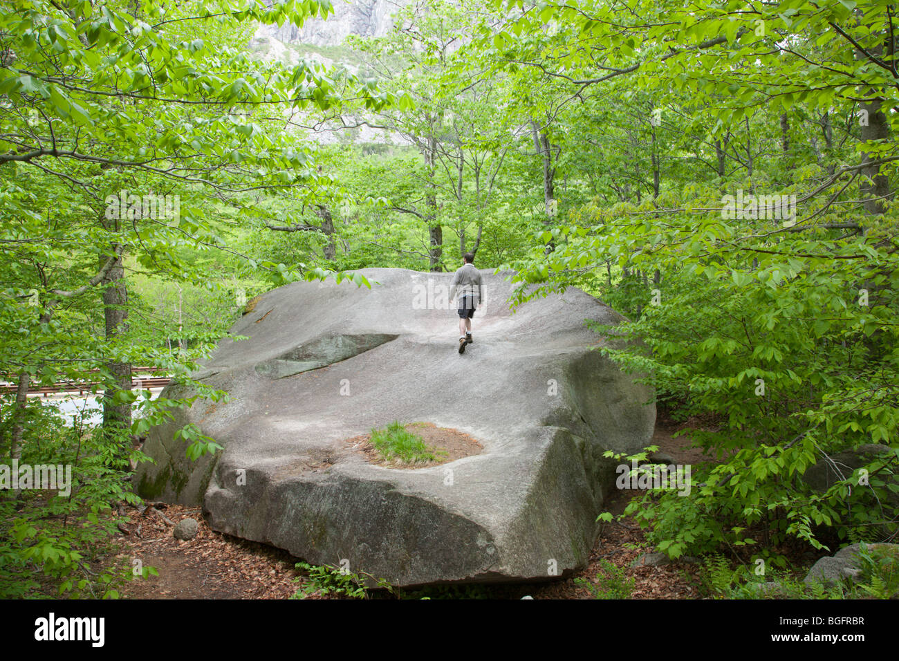 Boise Rock in Franconia Notch State Park in the White Mountains, New ...
