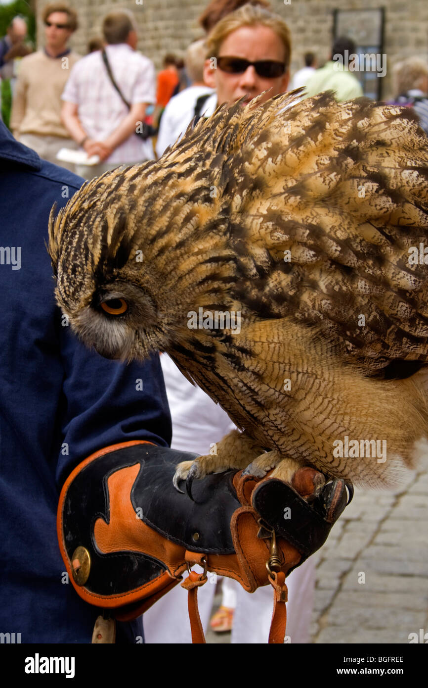 Handler glove hi-res stock photography and images - Alamy