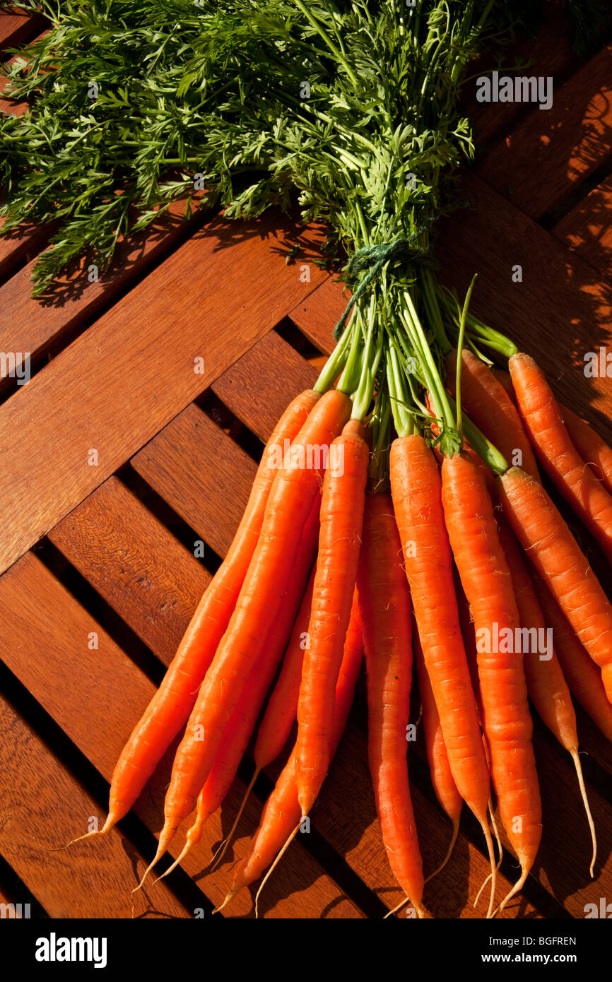 A bunch of fresh carrots Stock Photo - Alamy
