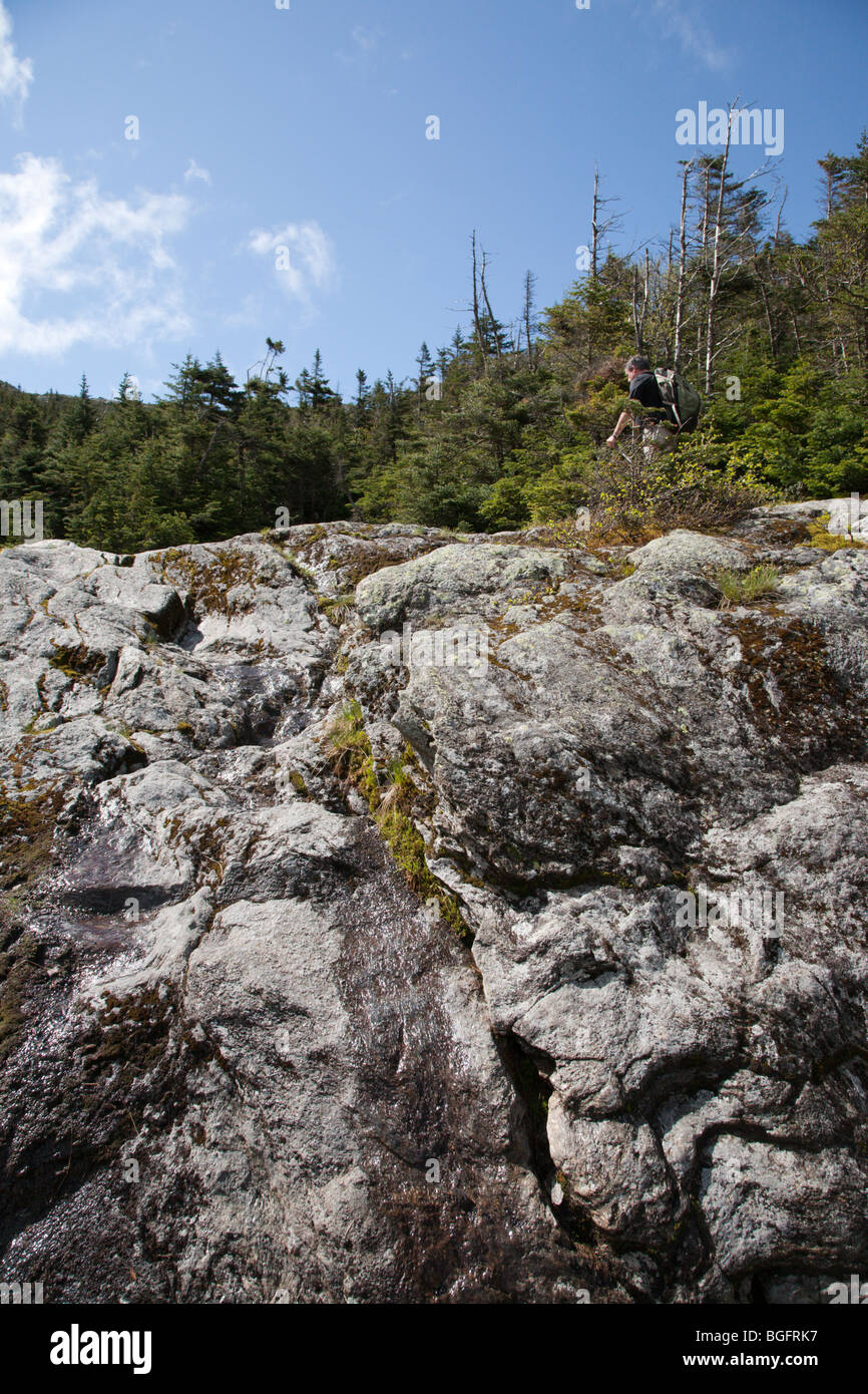 Ammonoosuc ravine hi-res stock photography and images - Alamy