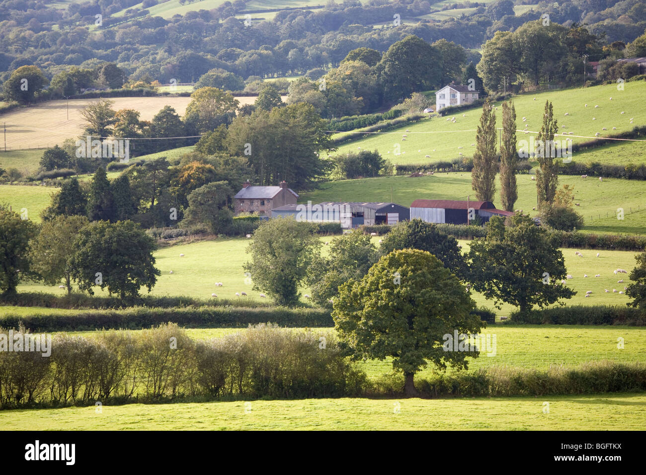 Welsh Farming Landscape Stock Photo - Alamy