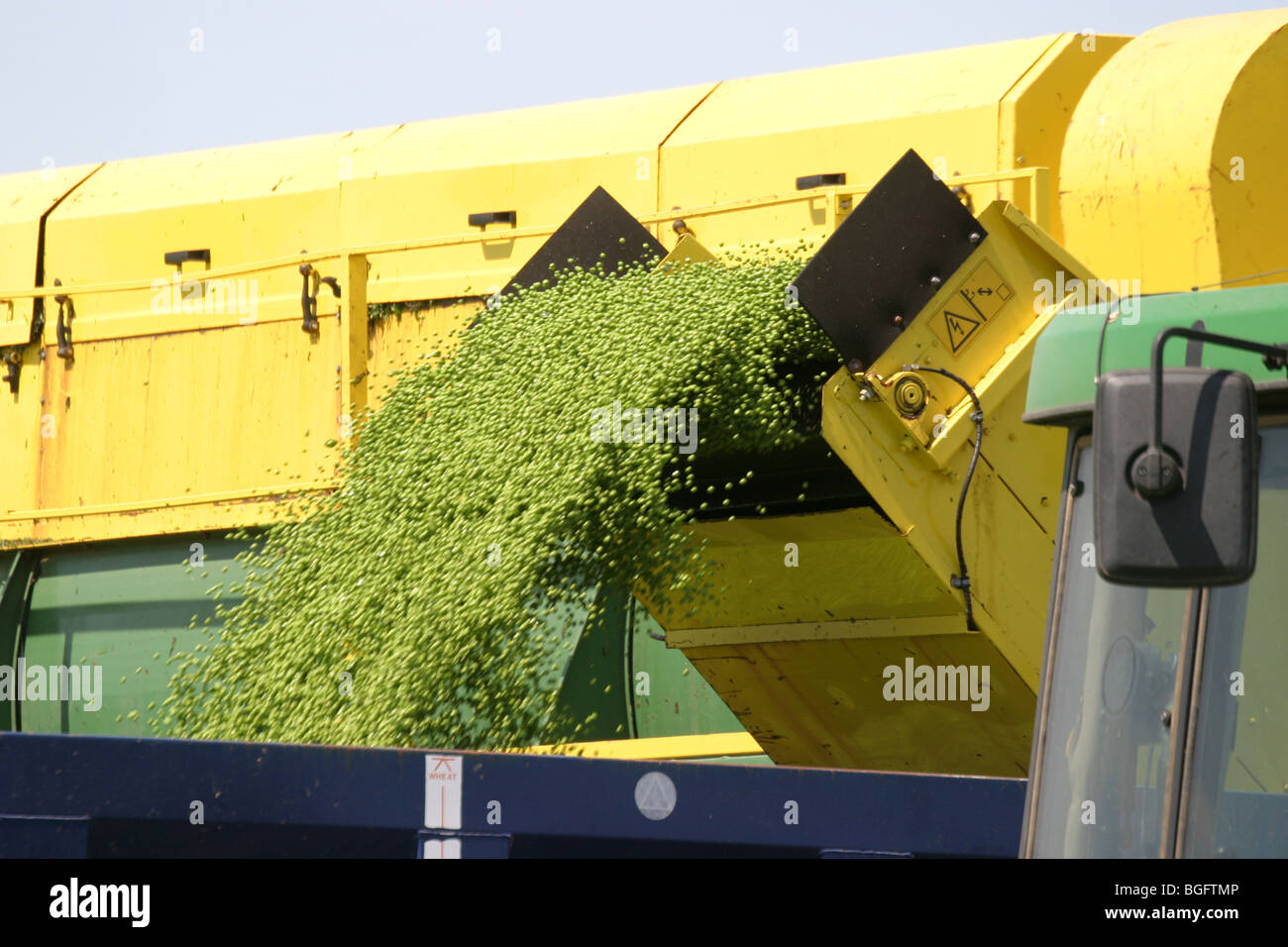 Vining hi-res stock photography and images - Alamy