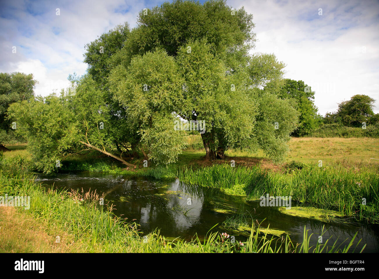 Welland valley river hi-res stock photography and images - Alamy