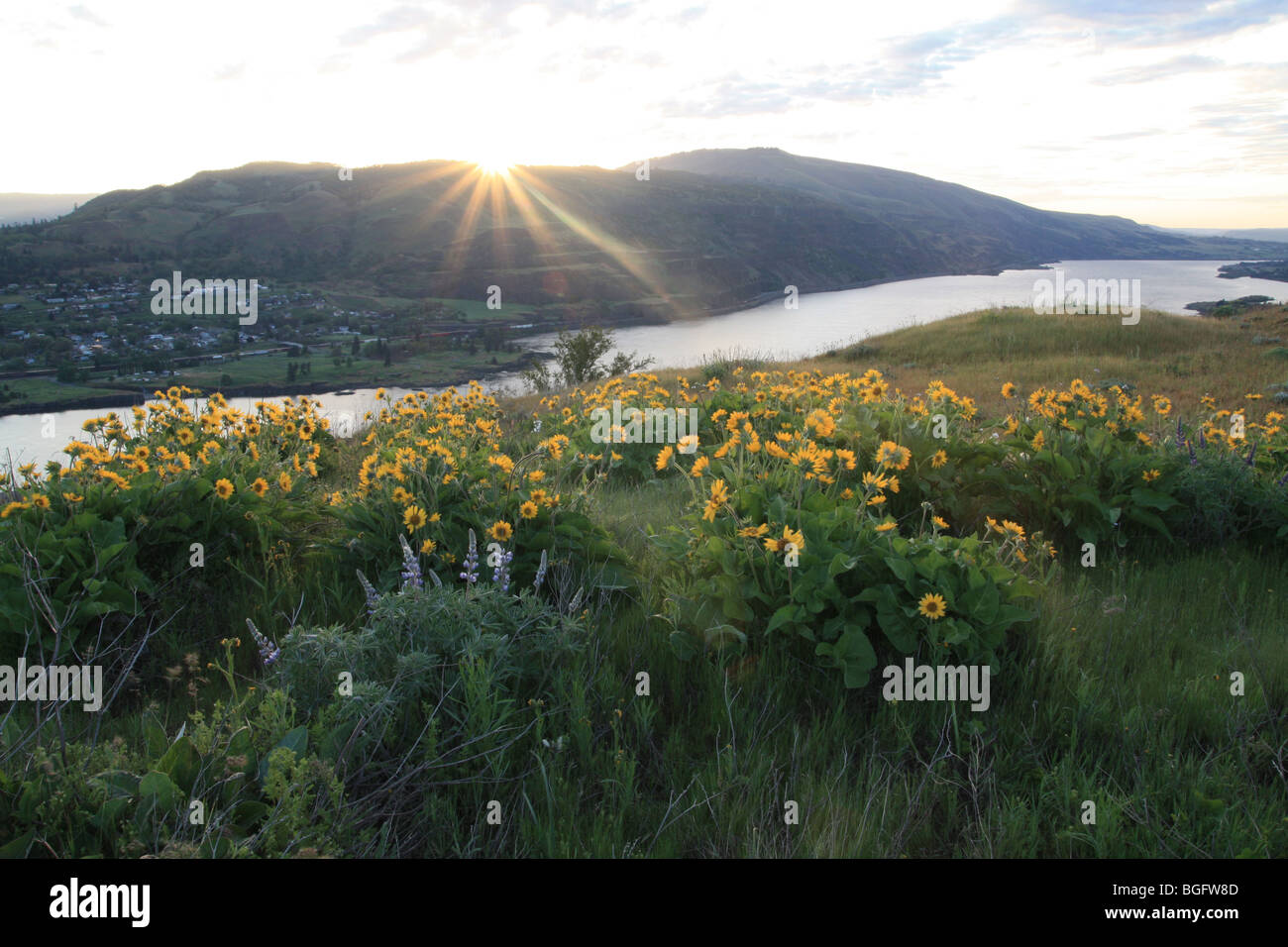Rowena point hi-res stock photography and images - Alamy