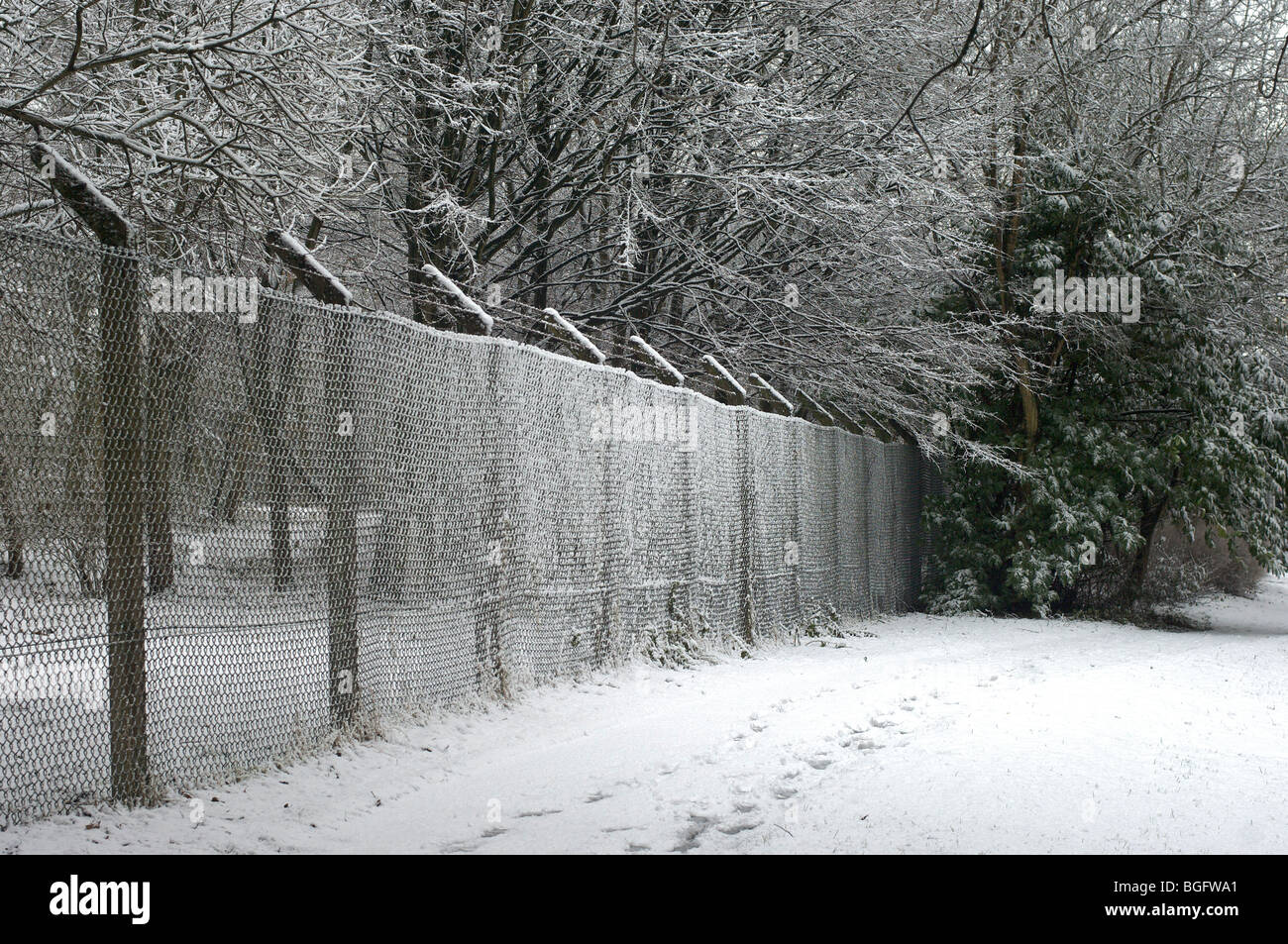 Fence in the snow Stock Photo - Alamy
