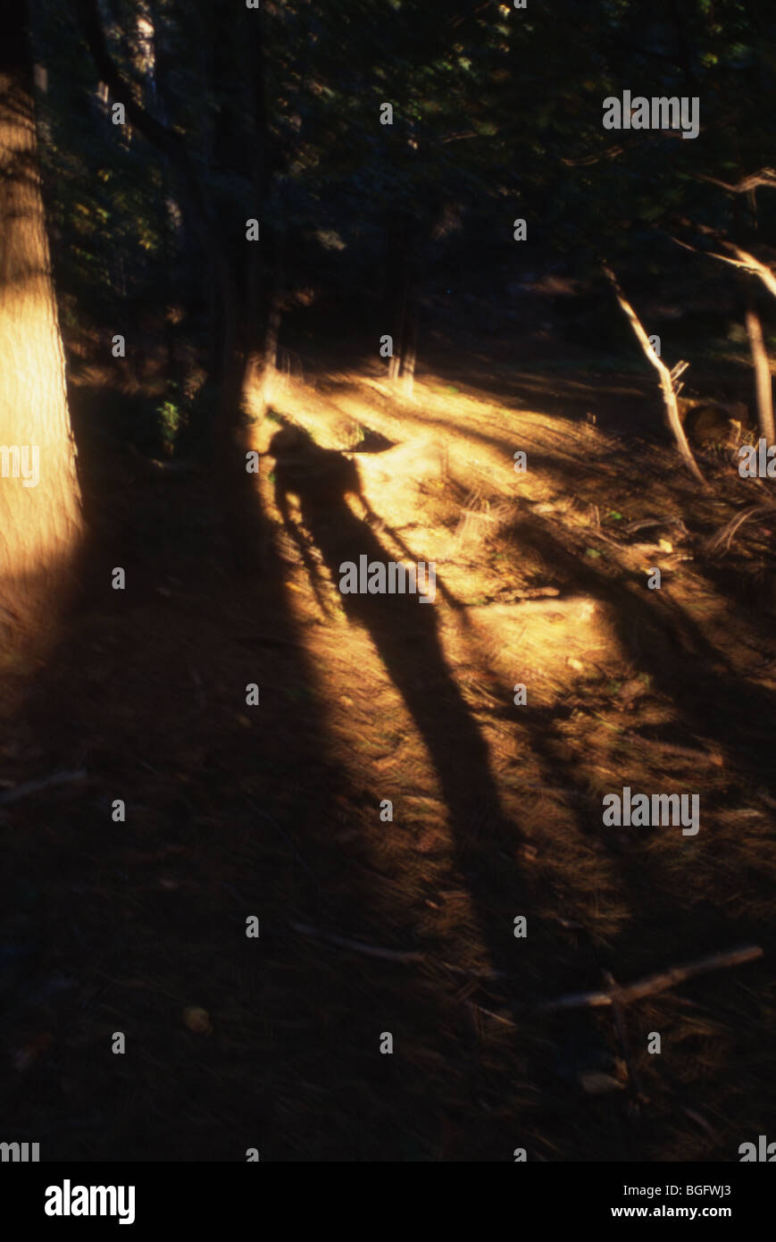 Ominous Shadow High Resolution Stock Photography and Images - Alamy