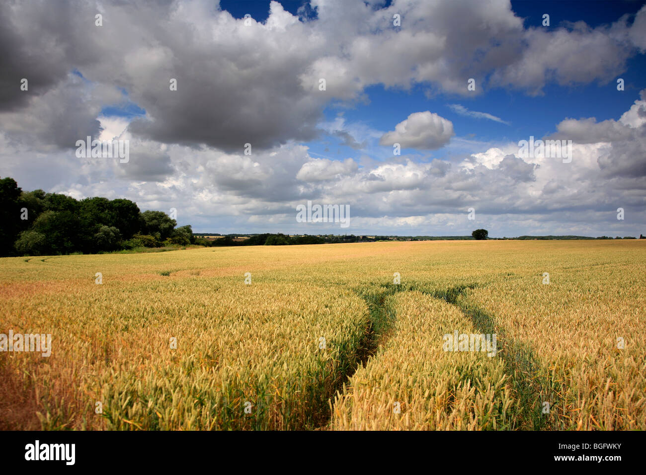 Fenland cambridgeshire england hi-res stock photography and images - Alamy