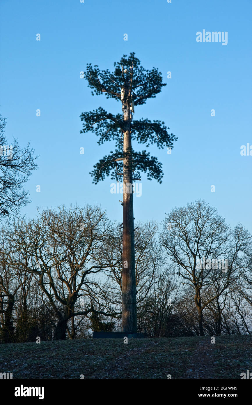 telecommunications mast made to look like a tree Stock Photo - Alamy