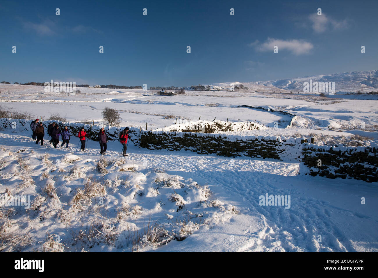 Moscar wheel hi-res stock photography and images - Alamy