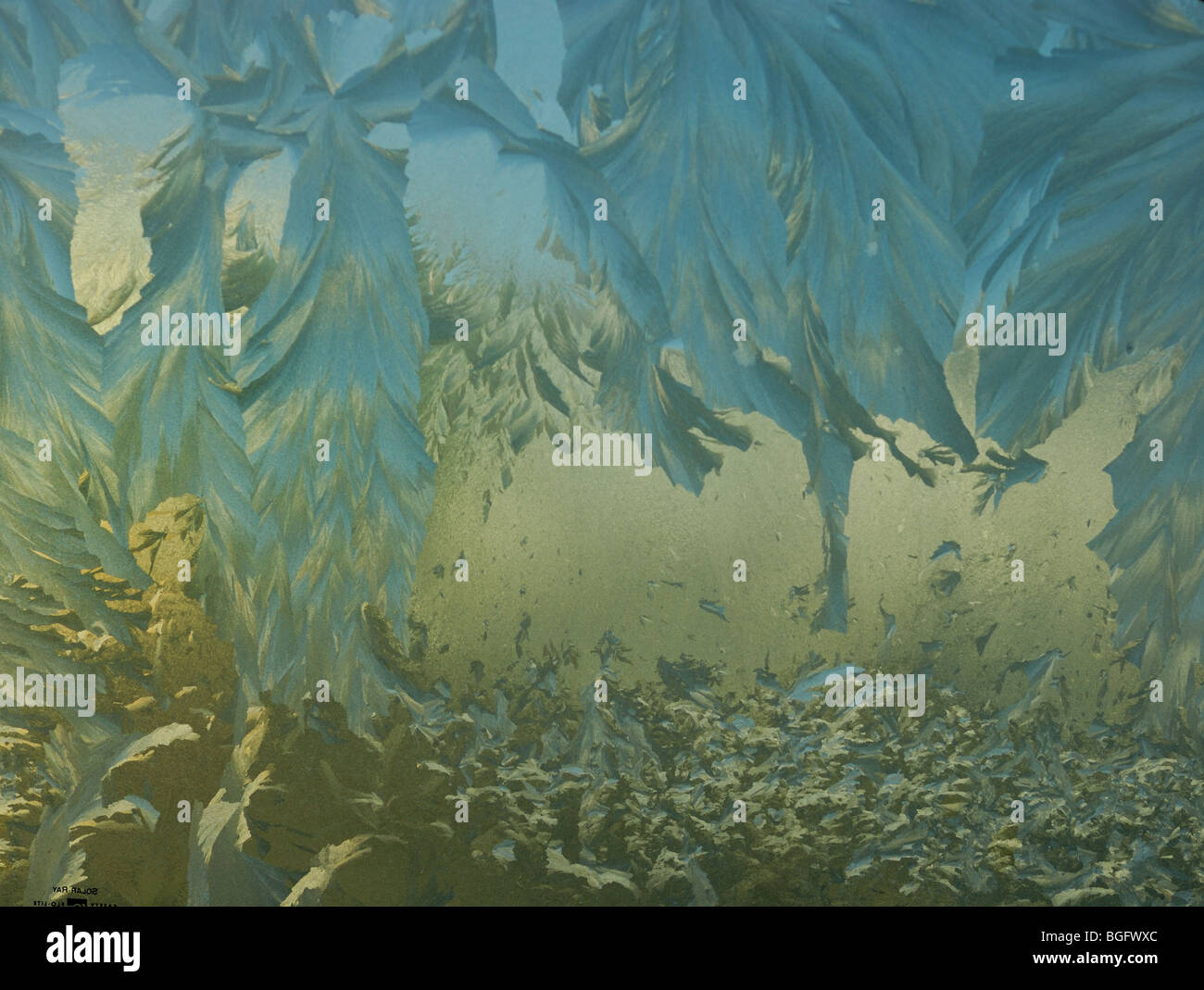 Morning Ice formations on a windshield Stock Photo - Alamy