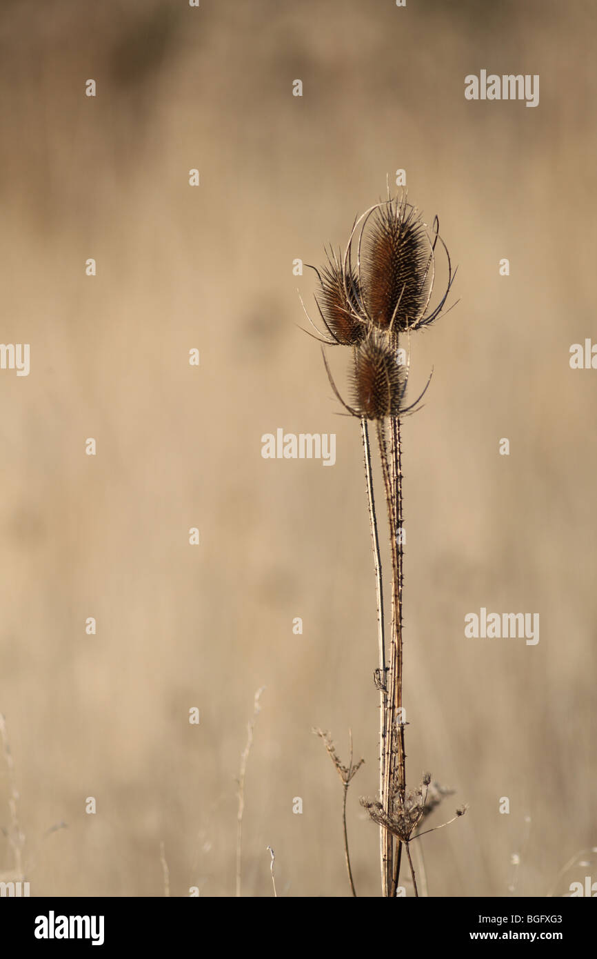 Oregon nature hi-res stock photography and images - Alamy