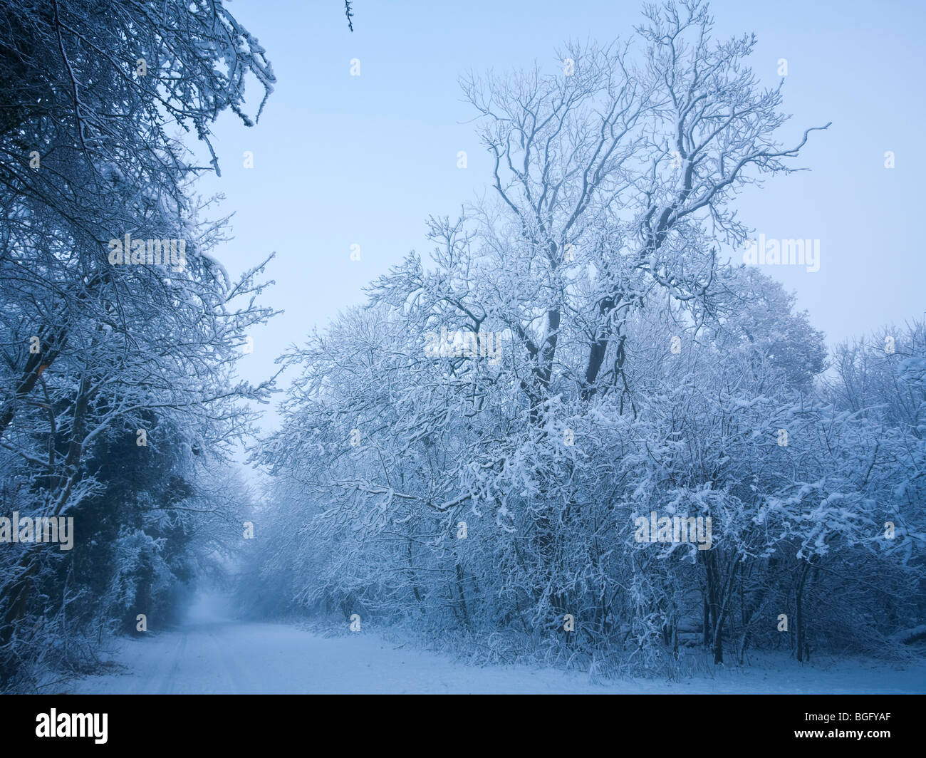 Litchfield uk hi-res stock photography and images - Alamy