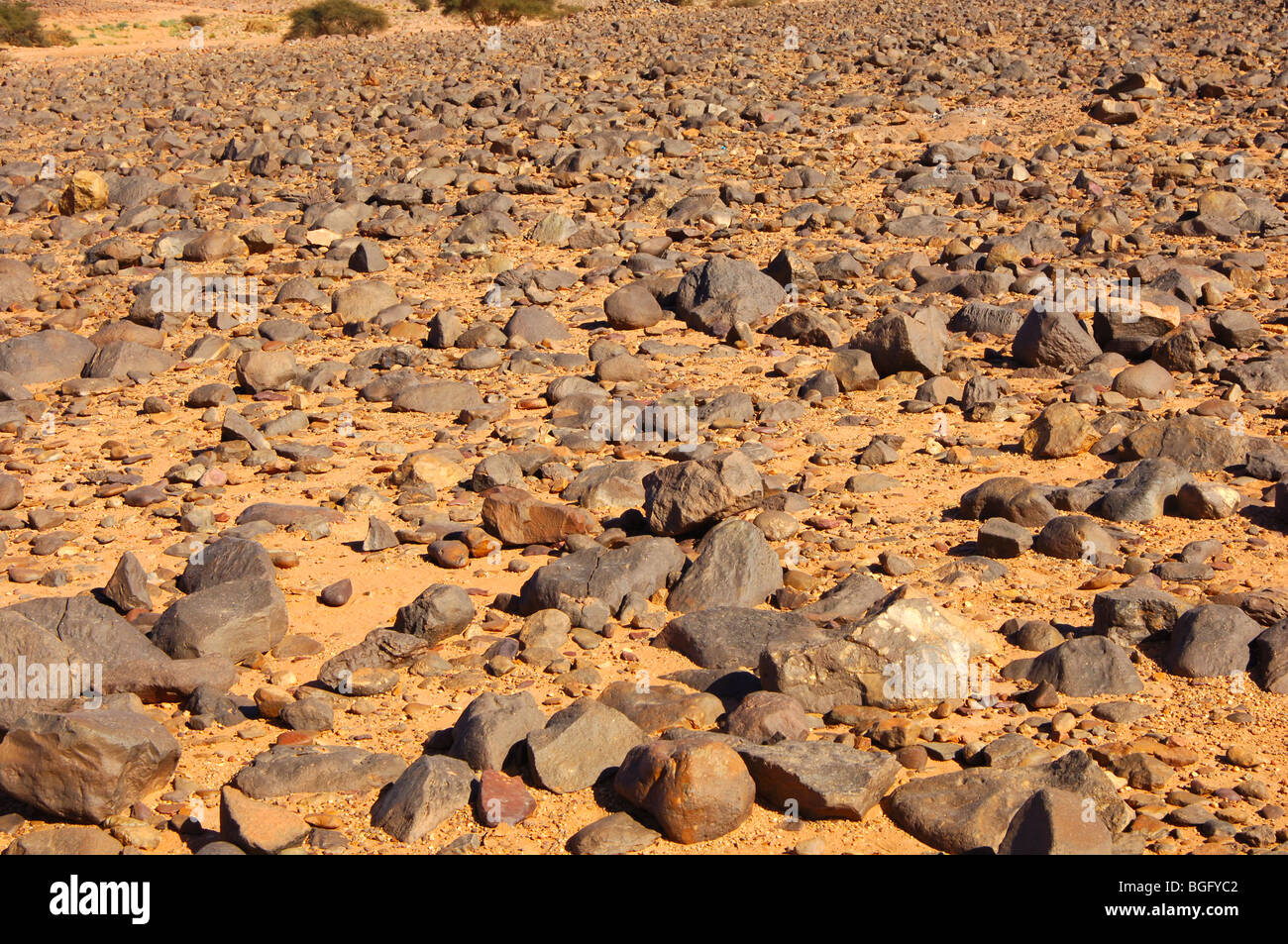 Stone-covered Hammada desert on the Mesak Settafek plateau, Fezzan ...