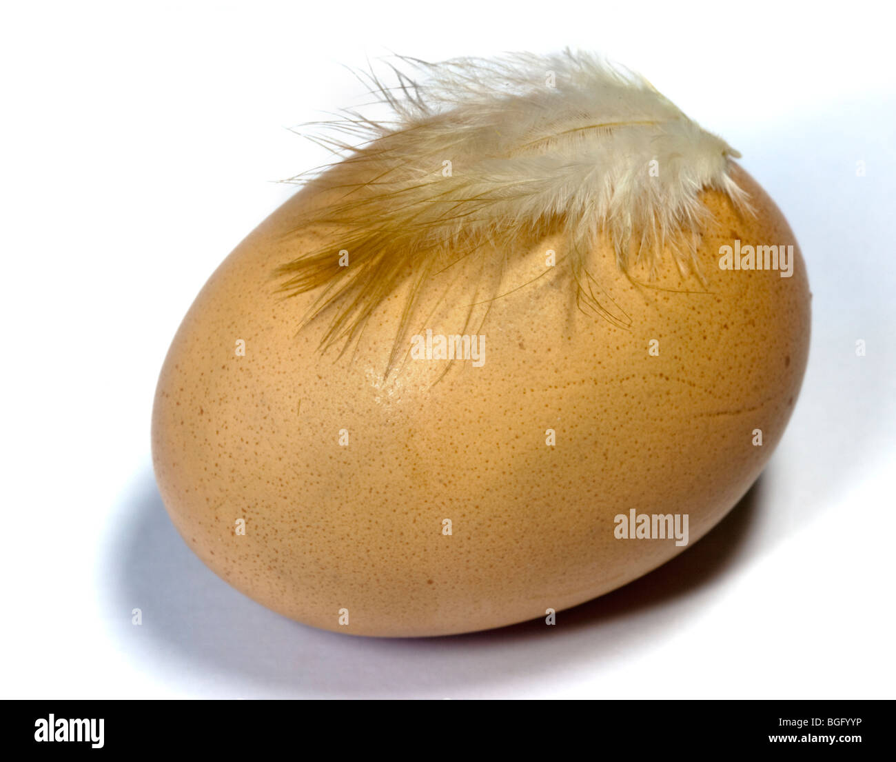 Brown Egg and Feather Stock Photo - Alamy