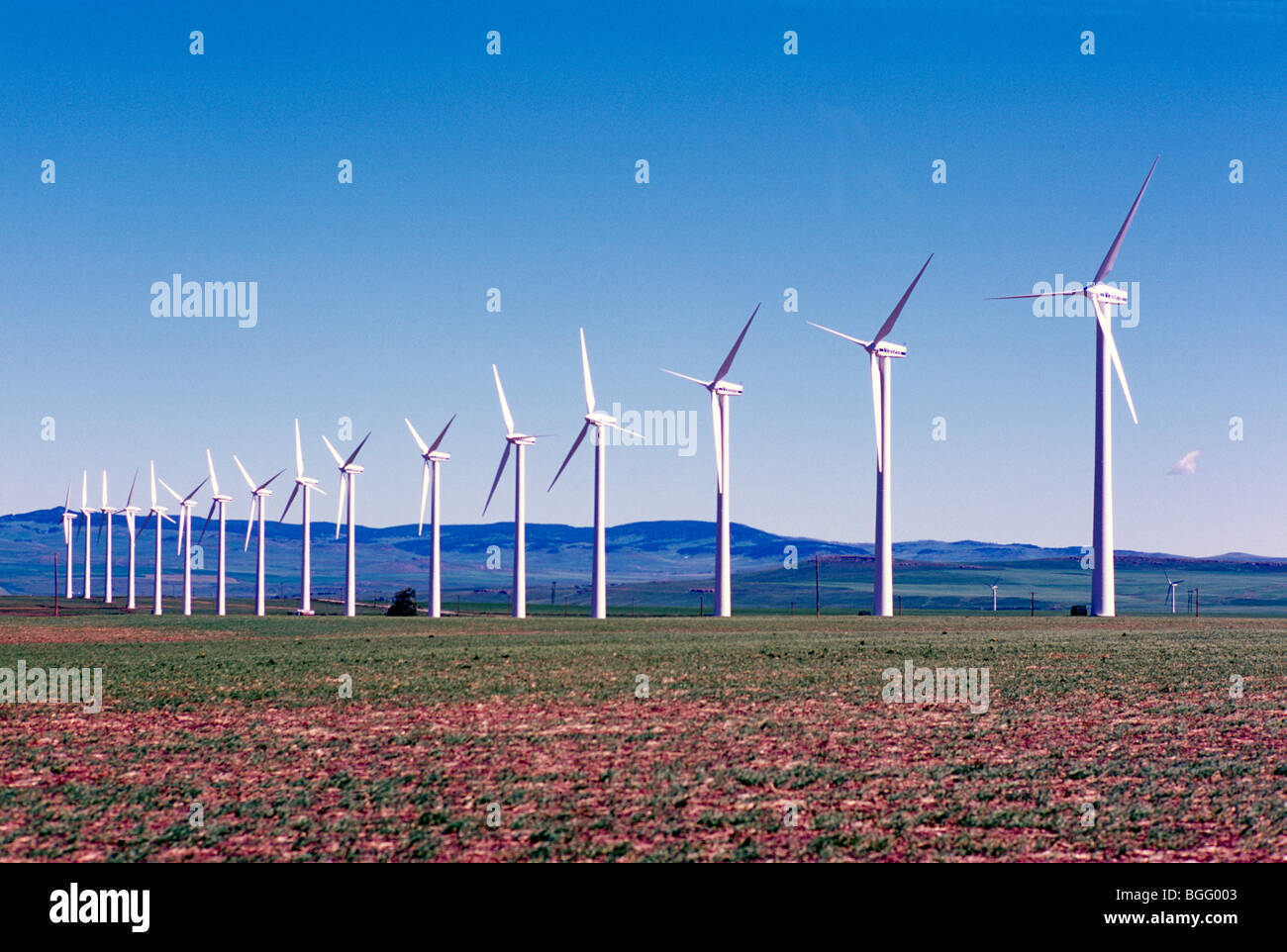 Wind Farm, Wind Turbines on Windfarm, Renewable / Alternative Energy ...