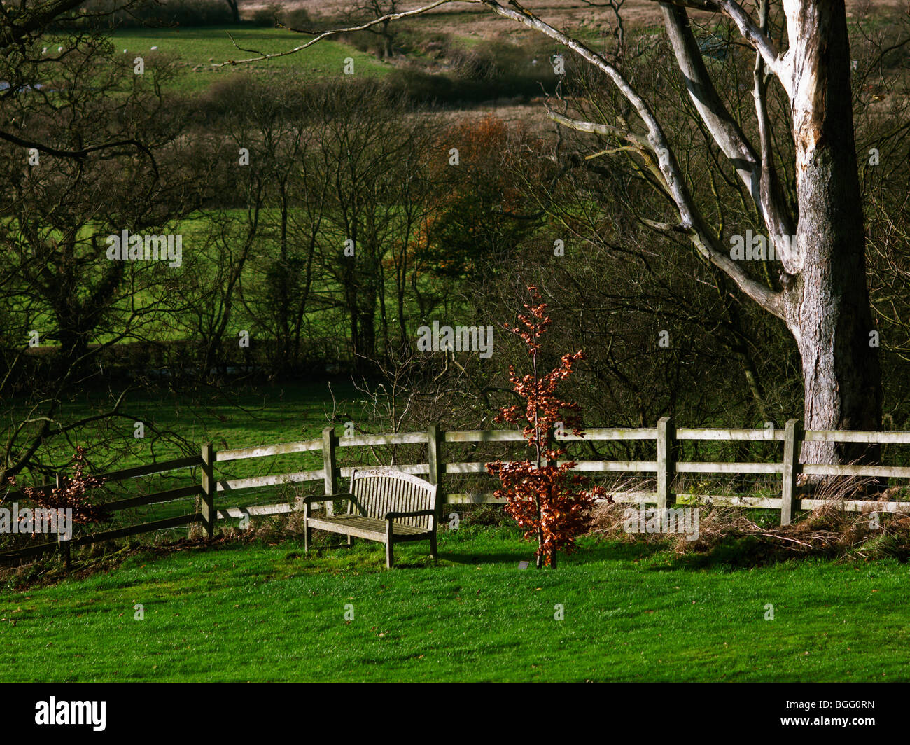 a bench on a hill in a country garden Stock Photo - Alamy