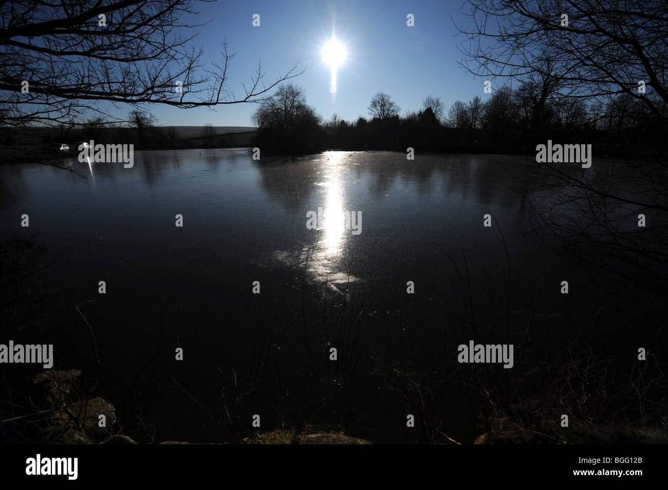 Falmer Pond High Resolution Stock Photography and Images - Alamy