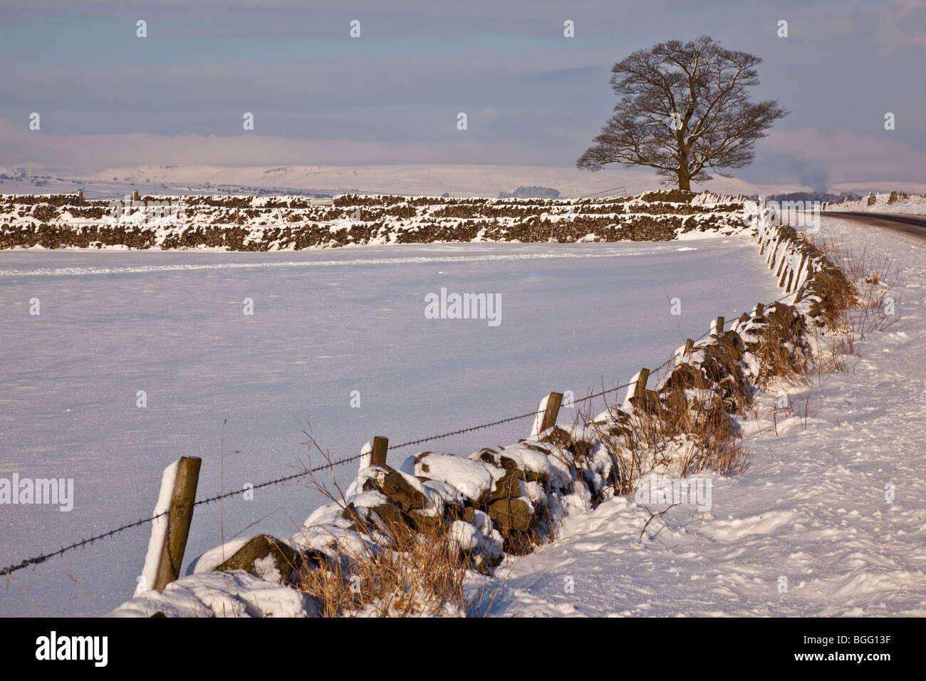 Snow covered fields with dry stone walls and a winter tree near Litton ...
