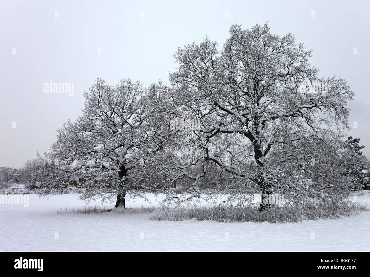 Surrey scene hi-res stock photography and images - Alamy