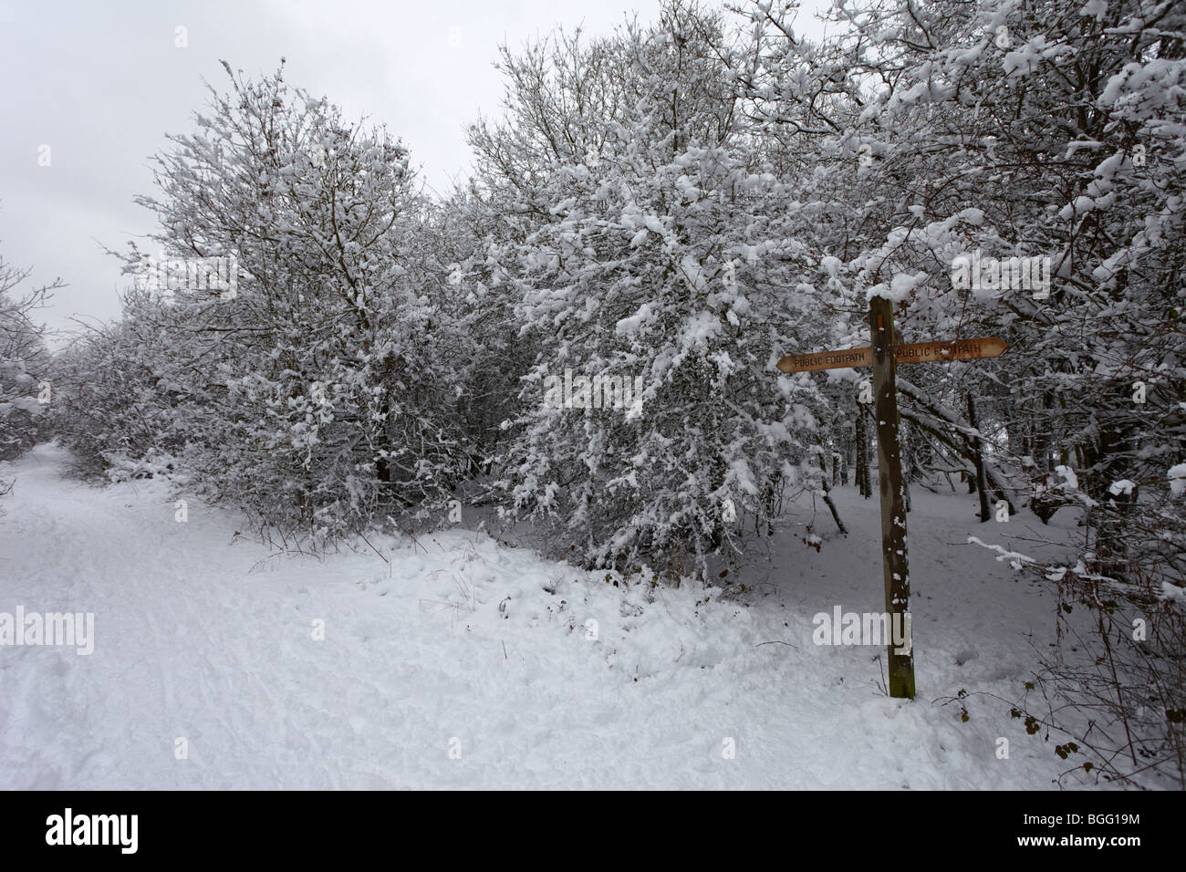 Surrey winter scene with footpath signpost and wood Stock Photo - Alamy