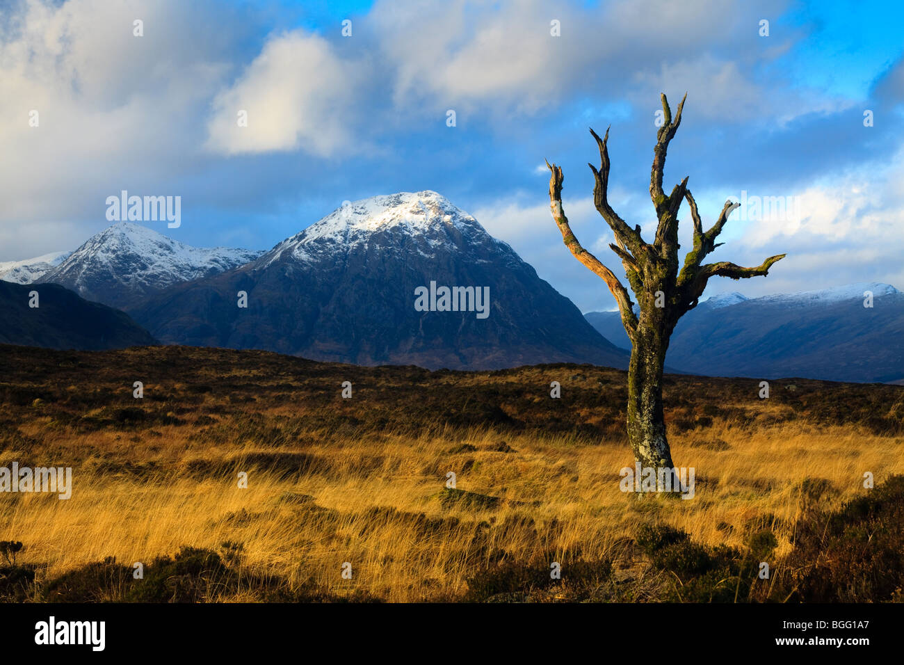 Sentinel standing hi-res stock photography and images - Alamy