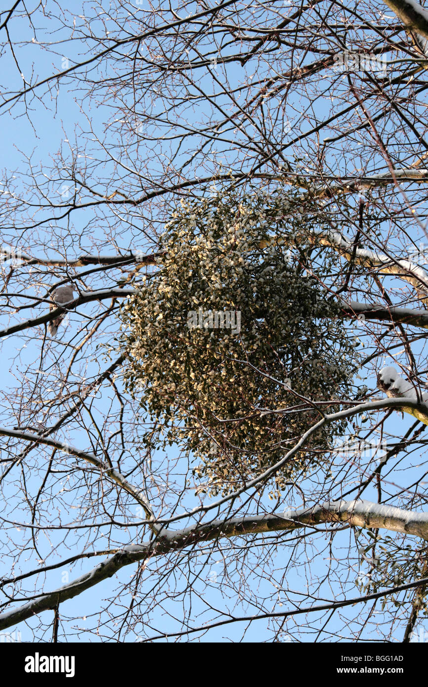 East anglia anglian rural big sky hi-res stock photography and images ...