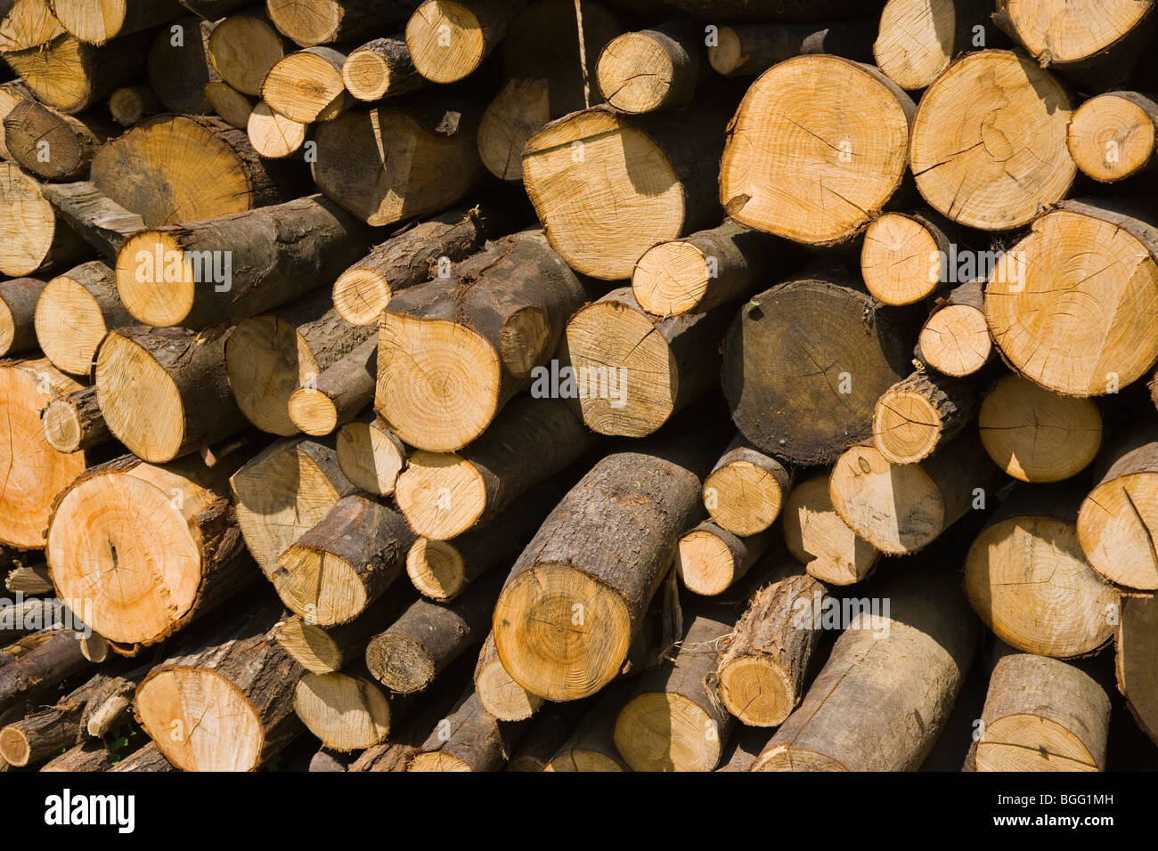 Stacked logs, Italy Stock Photo - Alamy