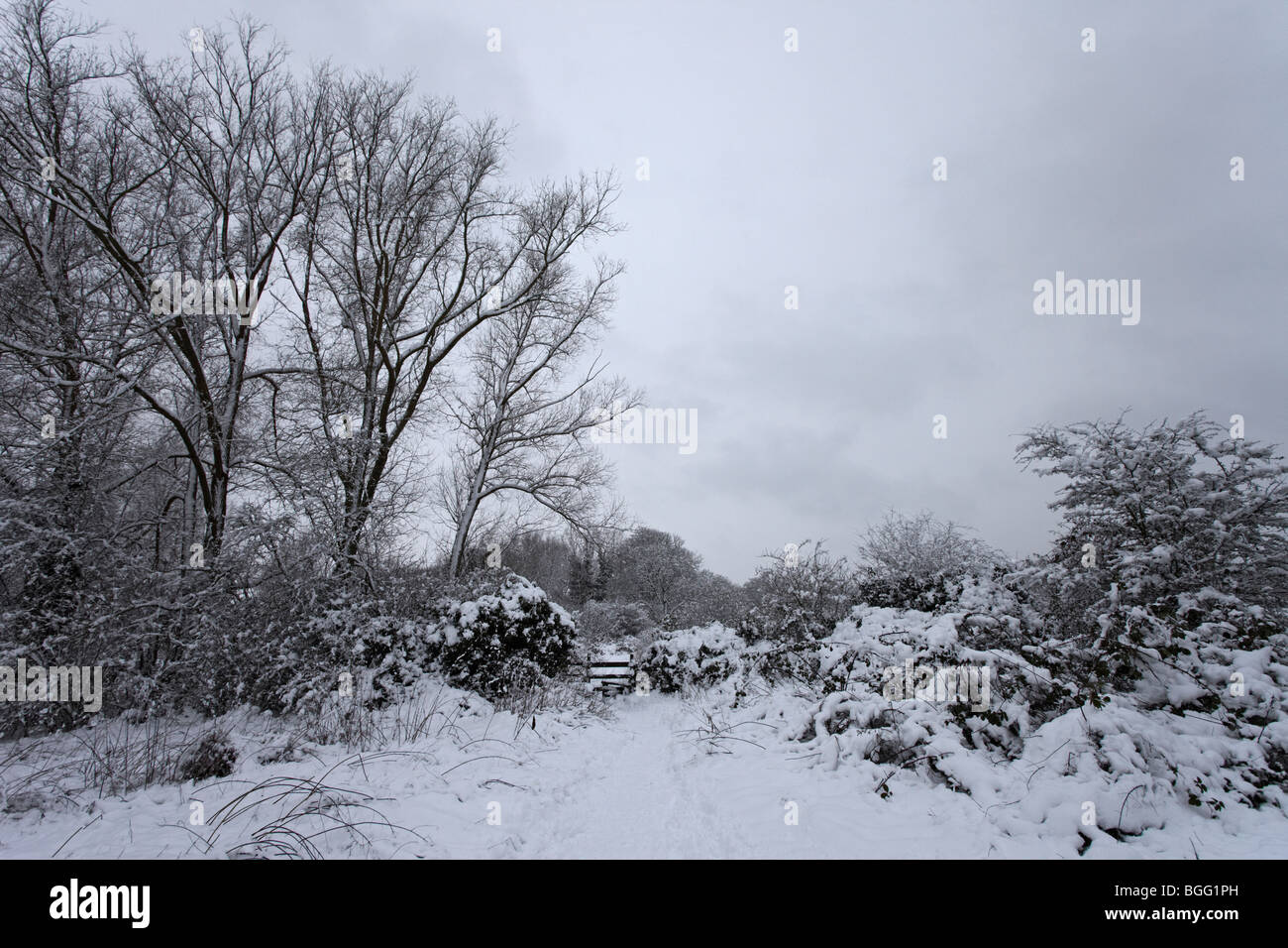 Surrey winter scene with stile Stock Photo - Alamy