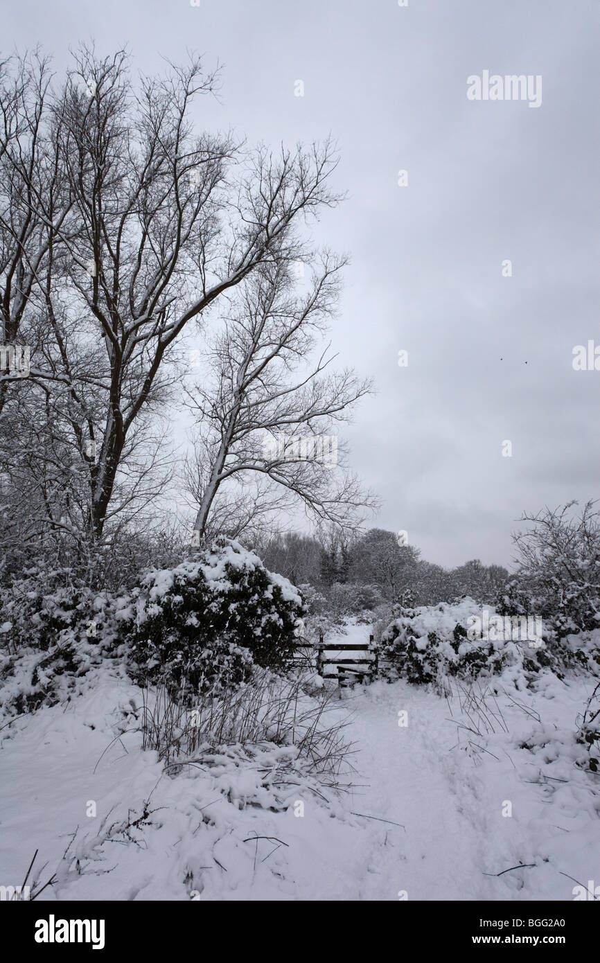 Surrey scene hi-res stock photography and images - Alamy