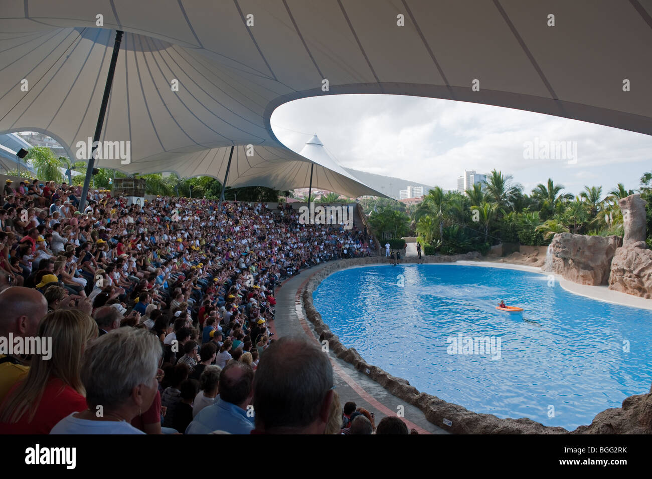 Loro parque hi-res stock photography and images - Alamy