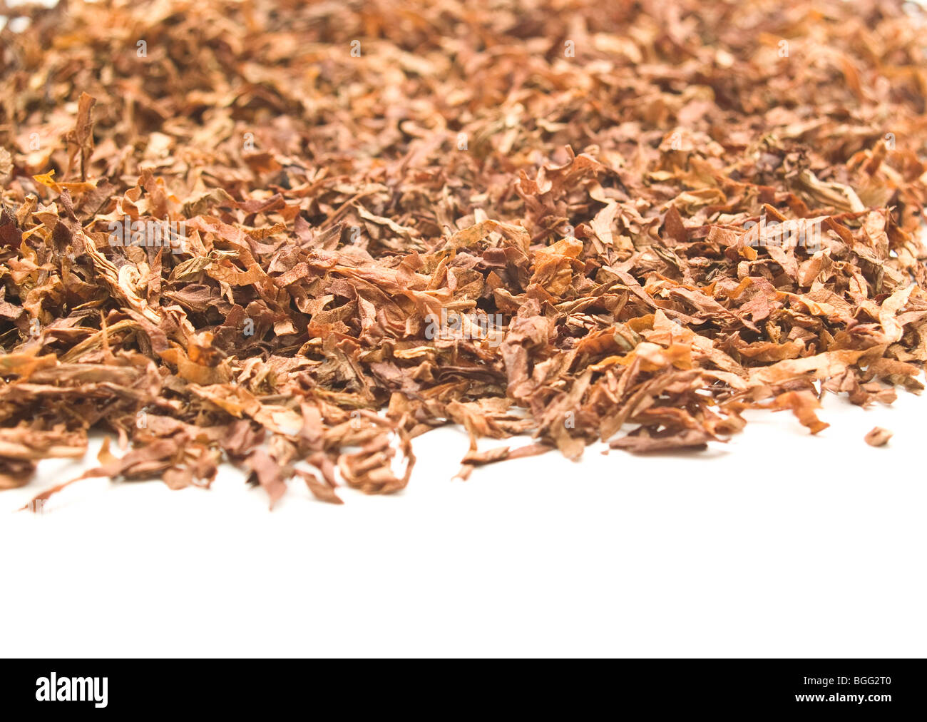Tobacco leaf hi-res stock photography and images - Alamy