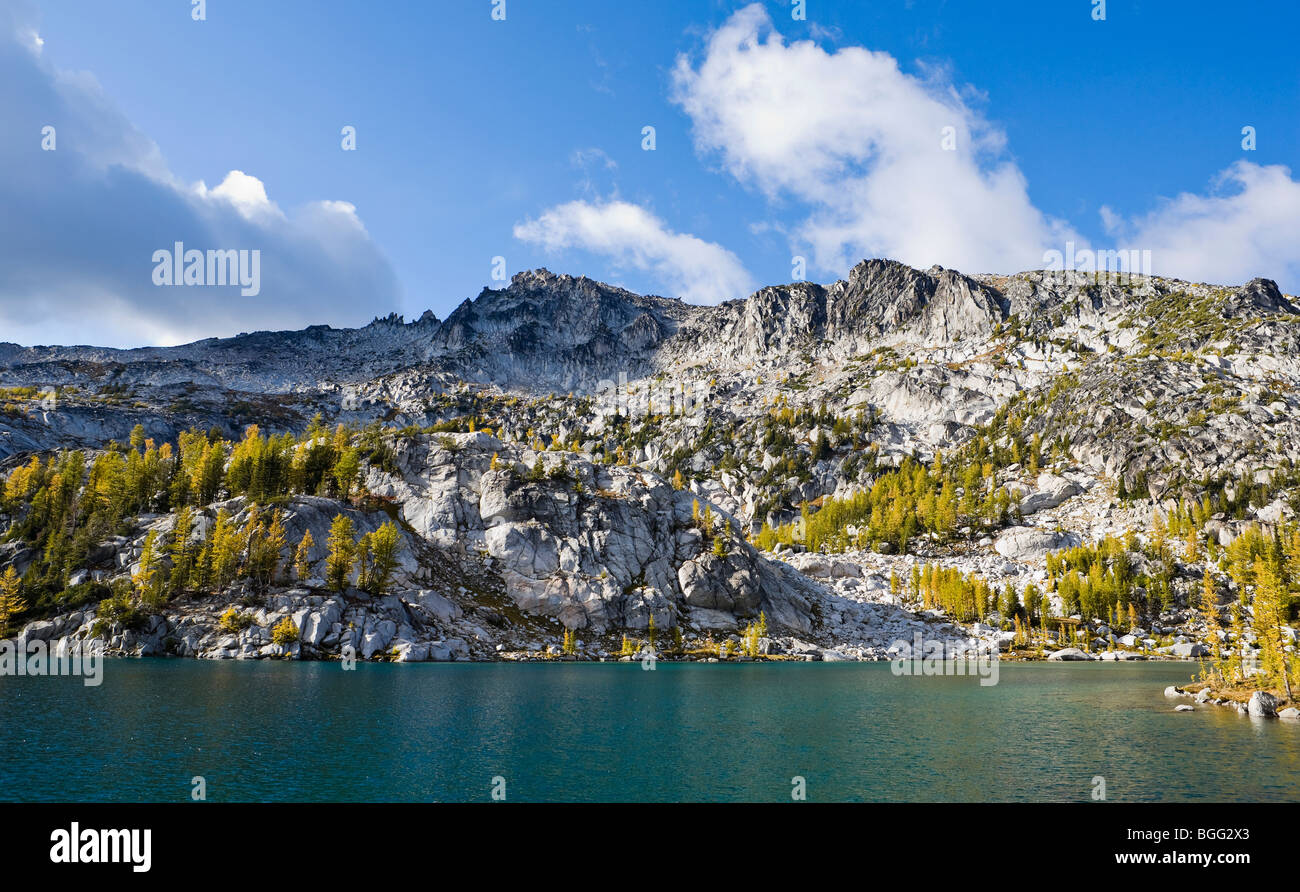 Larch trees changing their colors in Fall on the Enchantment Peaks ...