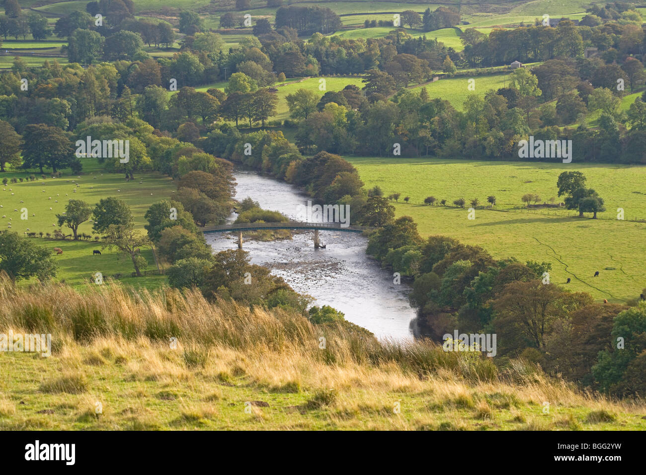 Lower Teesdale, near Middleton in Teesdale, Northern Penines, England ...