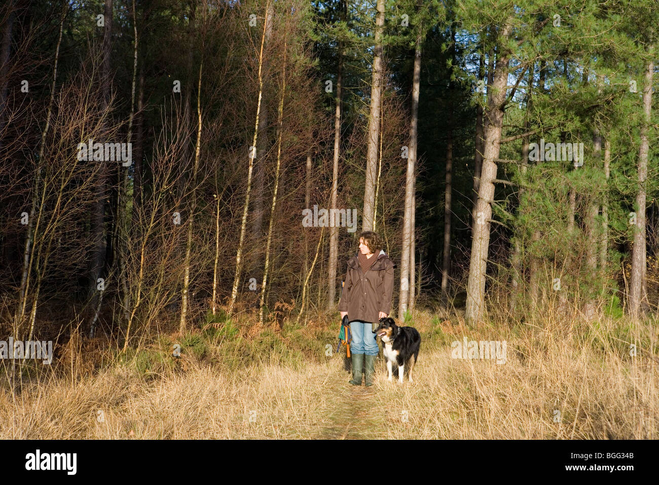 Women and dog in Countryside Stock Photo - Alamy