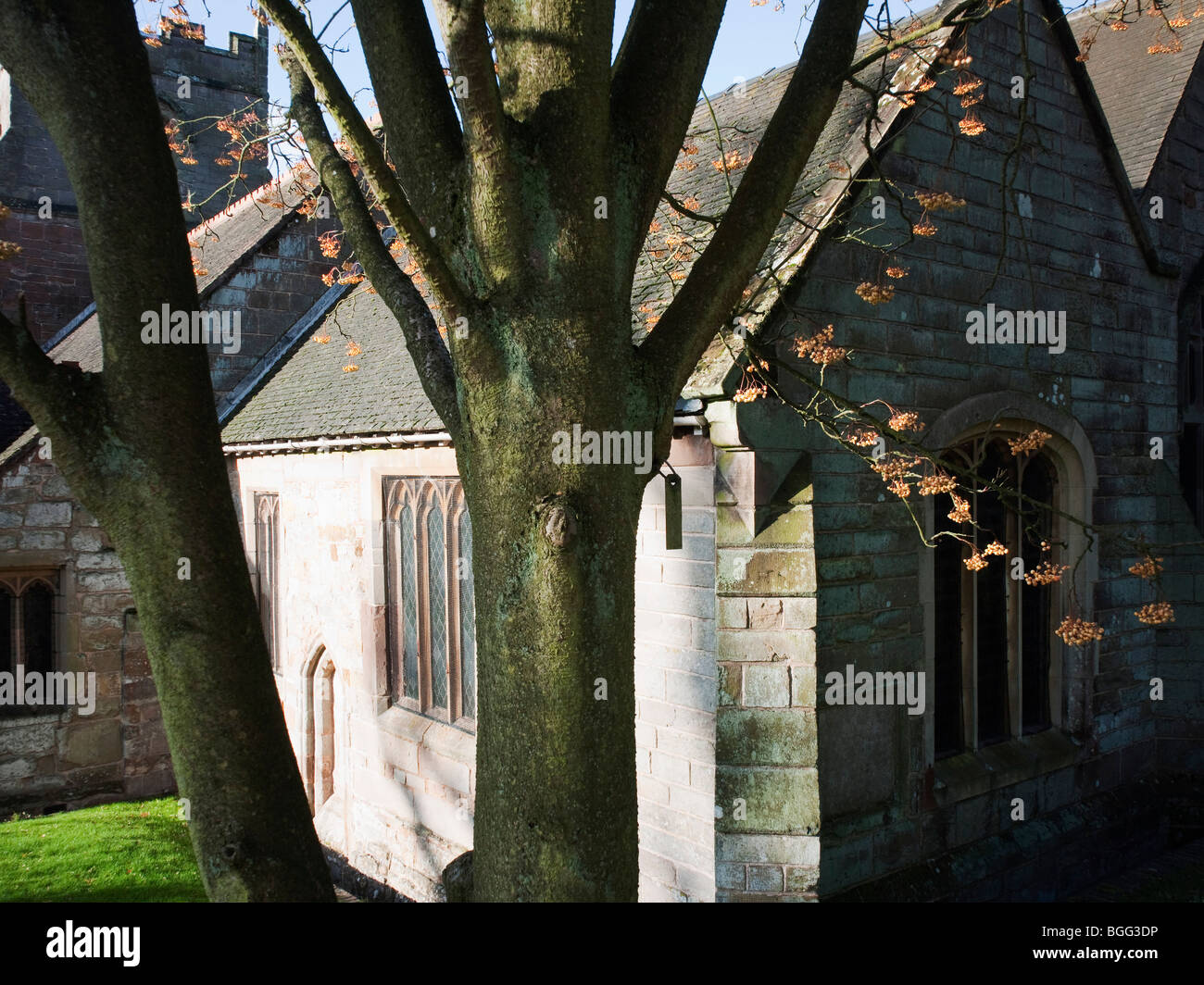 a church with trees in autumn colour Stock Photo - Alamy